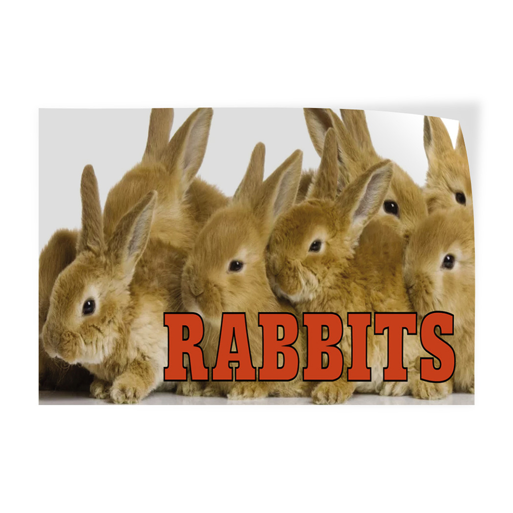 Decal Stickers Rabbits Outdoor Advertising Printing Vinyl Store Sign ...